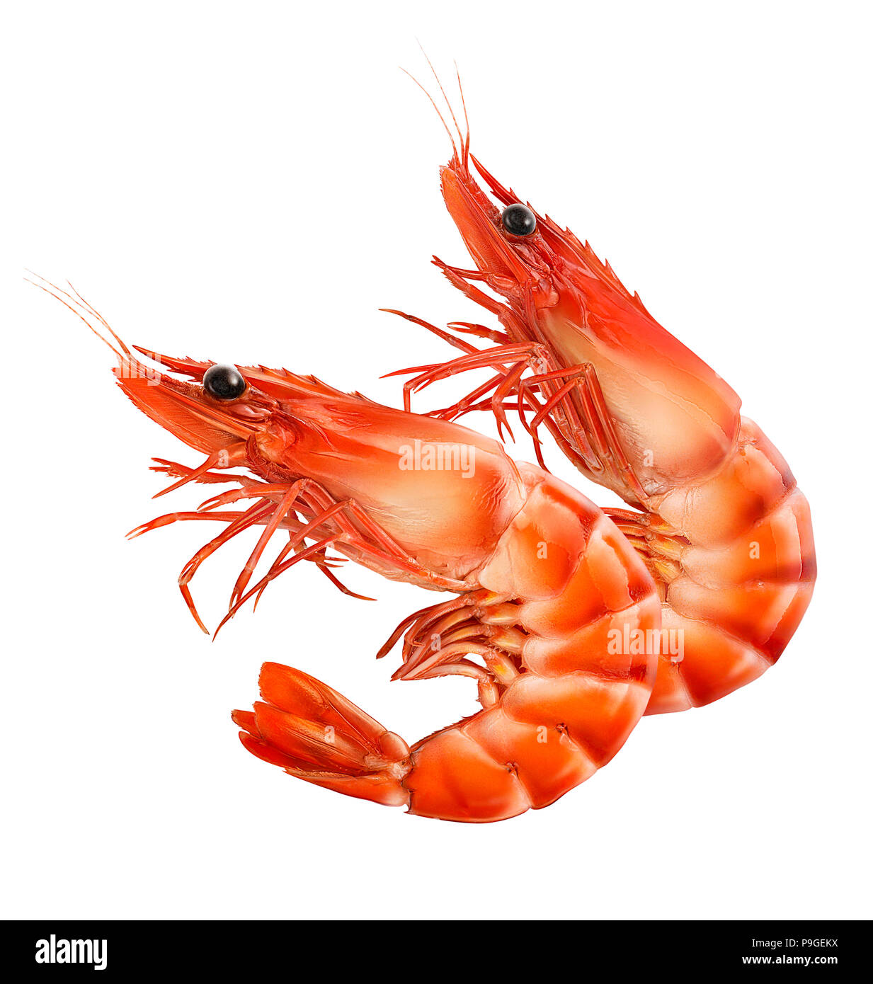 Tiger prawns grill hi-res stock photography and images - Alamy