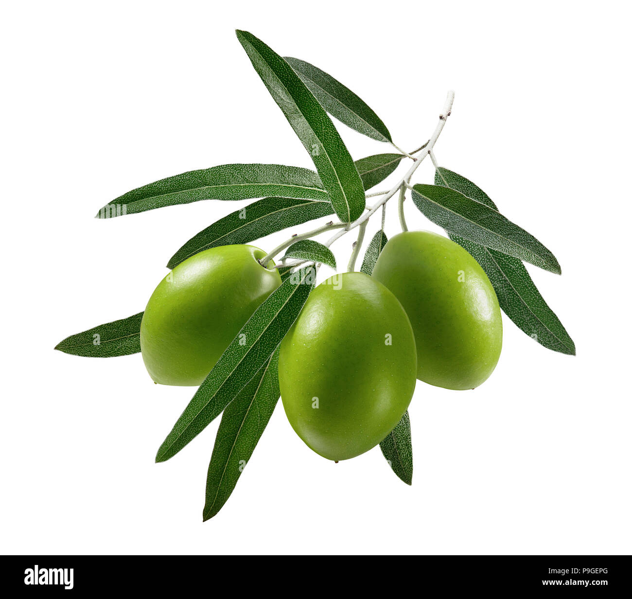 Beautiful green olives hi-res stock photography and images - Alamy