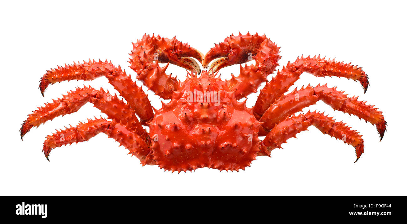 Red king crab seafood hi-res stock photography and images - Alamy