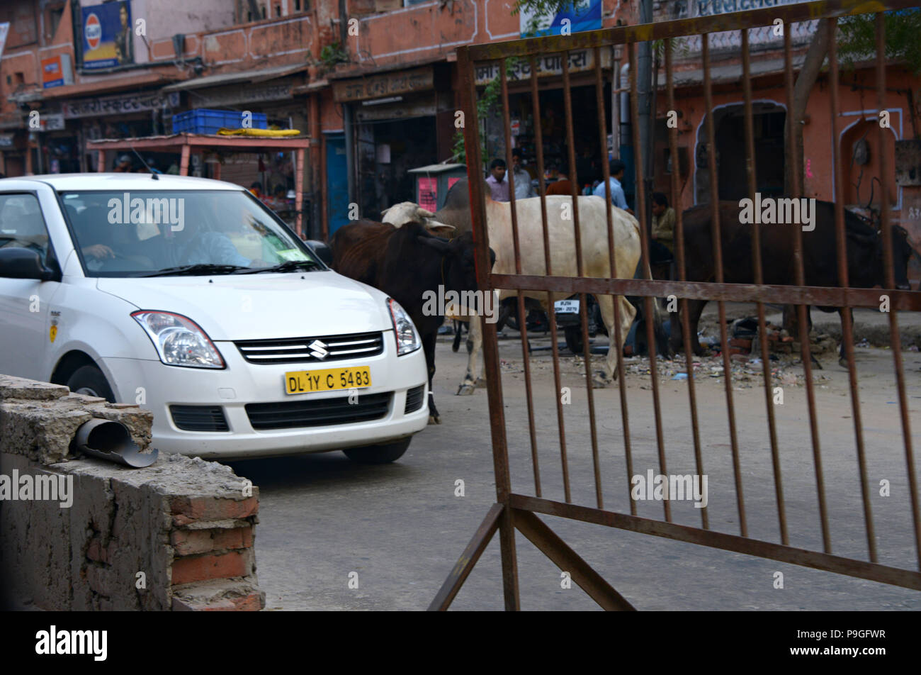 Street scenes of real life in Delhi India, photographed from a moving ...
