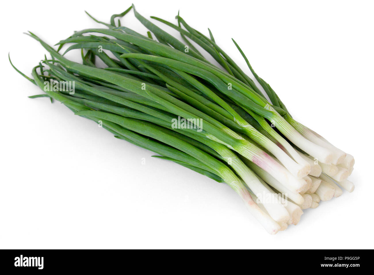 Bunch of chives on white background Stock Photo - Alamy
