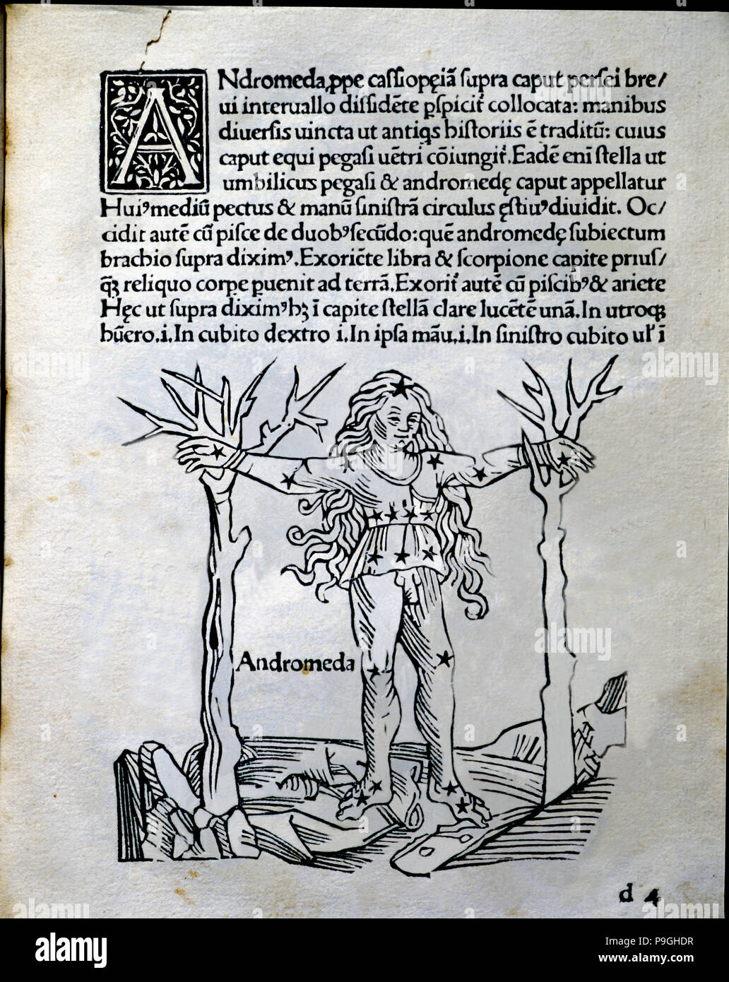 Andromeda, mithological interpretation of the constellations, engraving ...