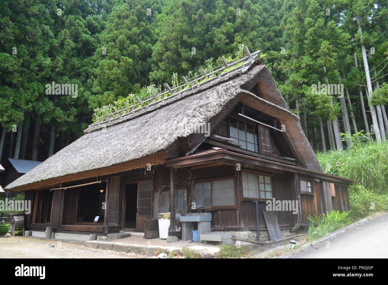 Japan thatched roof house hi-res stock photography and images - Alamy