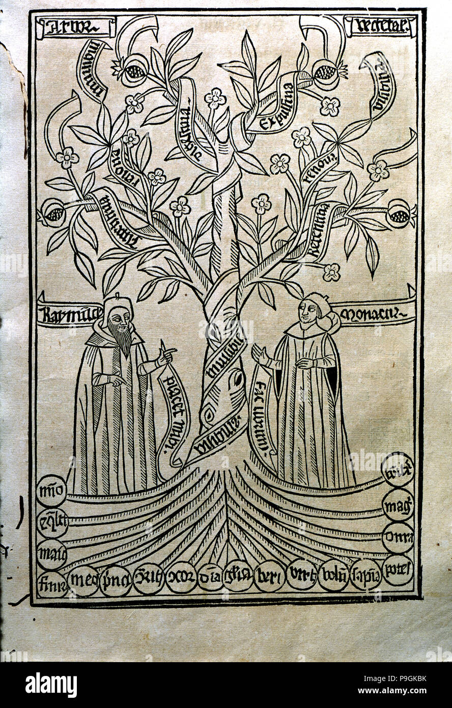 Engraving of a tree in the work 'Arbor Scientiae' (Science Tree) copy ...