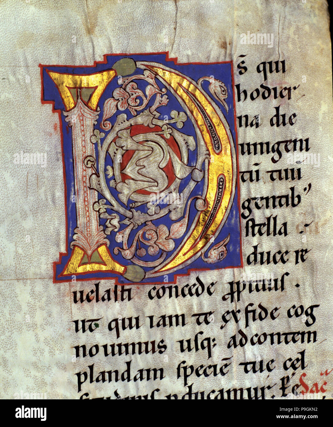Drop cap 'D' illuminated with heads of birds and vegetables interlacing in the 'Sacramentary of ...