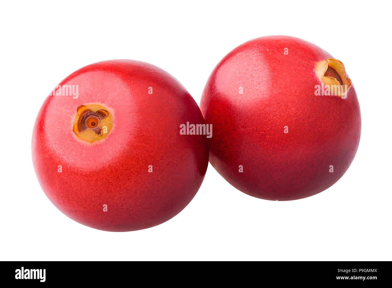 Cranberry, clipping path, isolated on white background, full depth of ...
