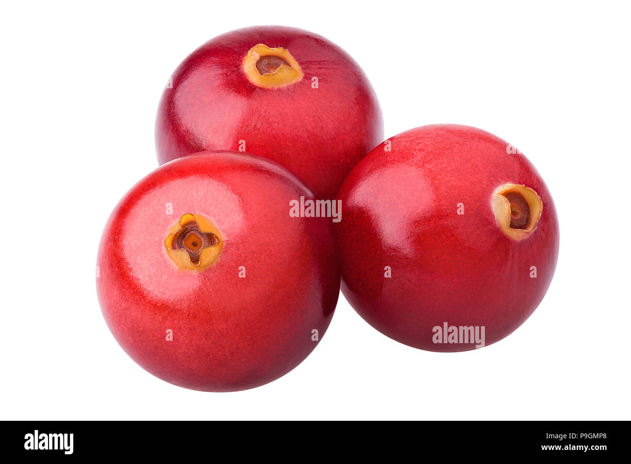 Cranberry, clipping path, isolated on white background, full depth of ...