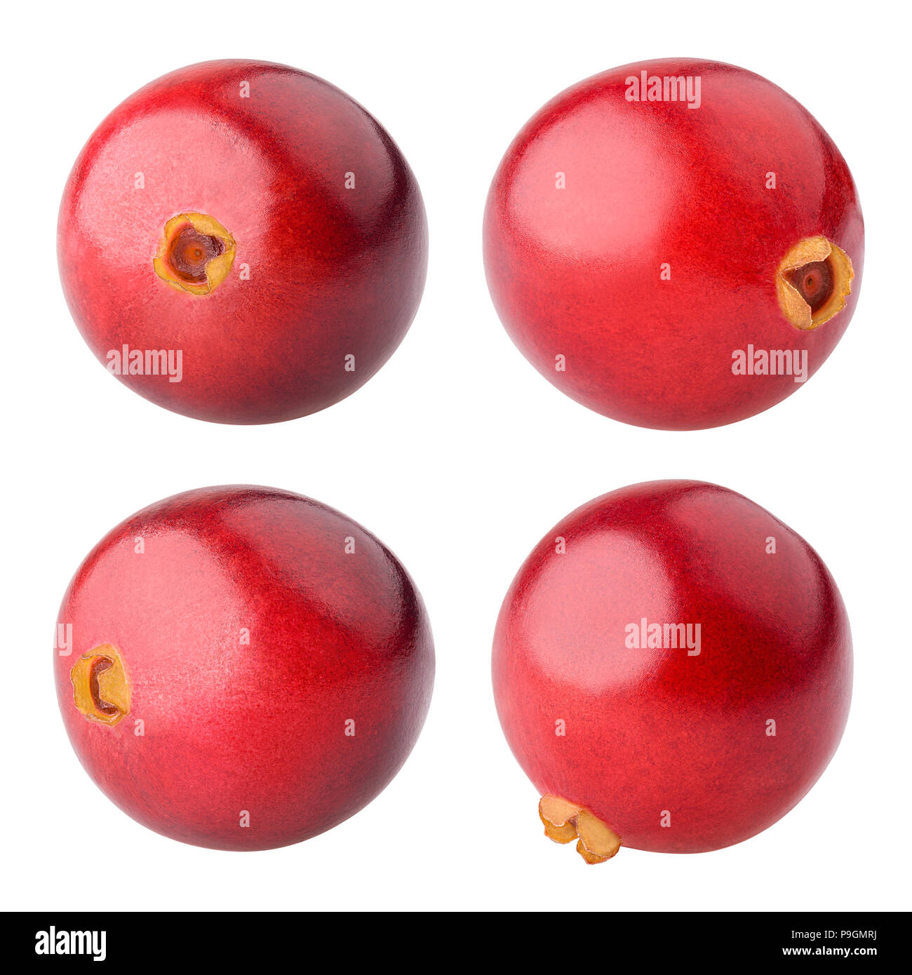 Cranberry, clipping path, isolated on white background, full depth of ...