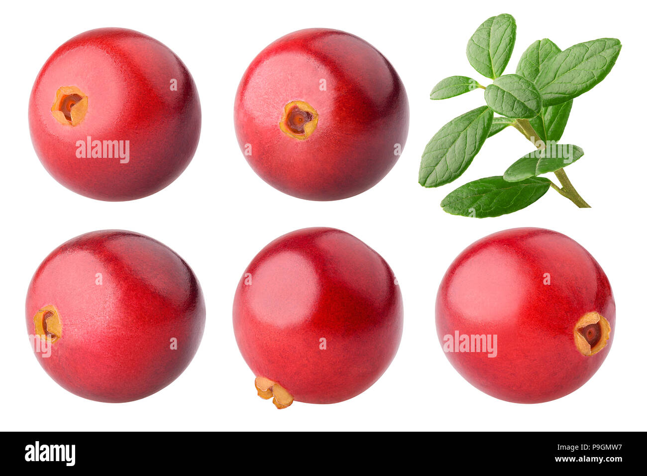Cranberry, clipping path, isolated on white background, full depth of ...