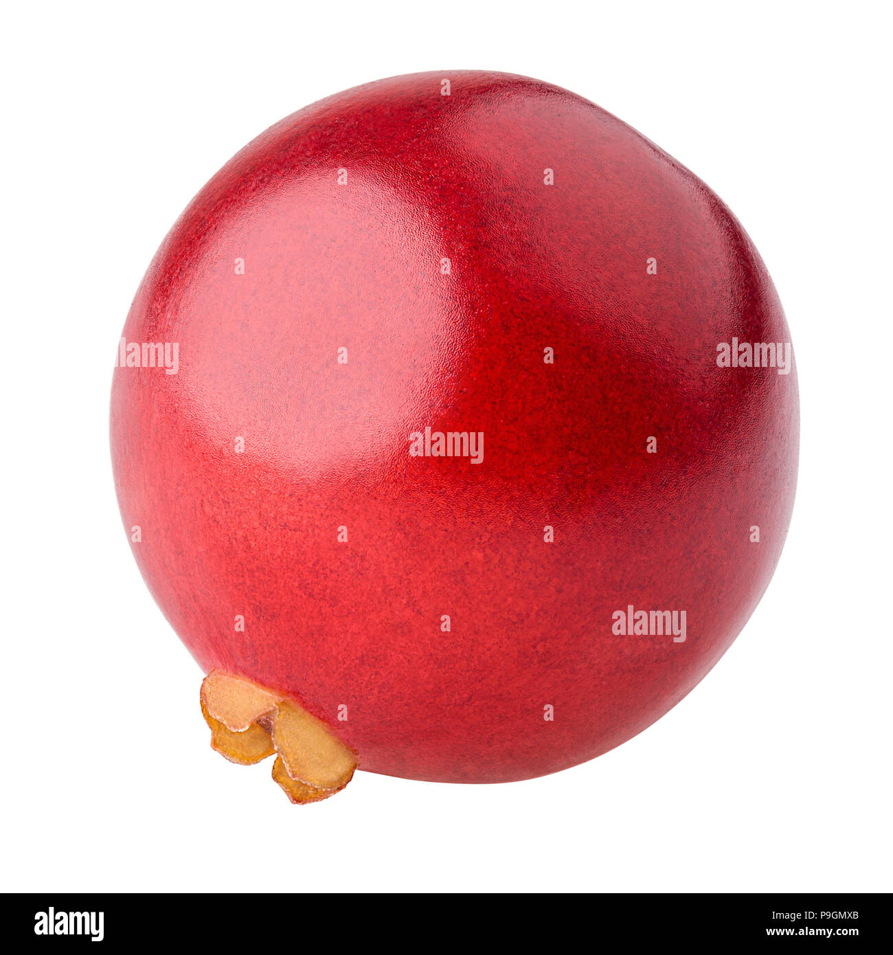 Cranberry, clipping path, isolated on white background, full depth of ...