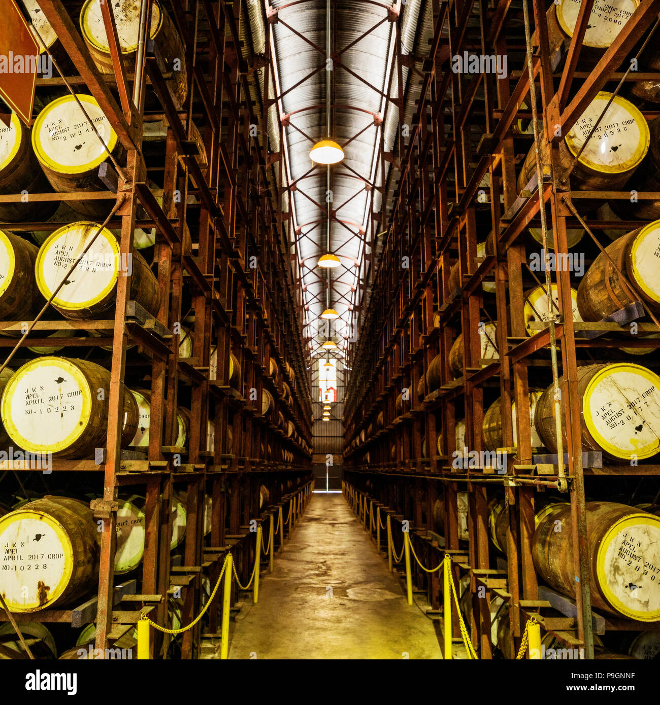 Appleton Rum Factory Stock Photo - Alamy