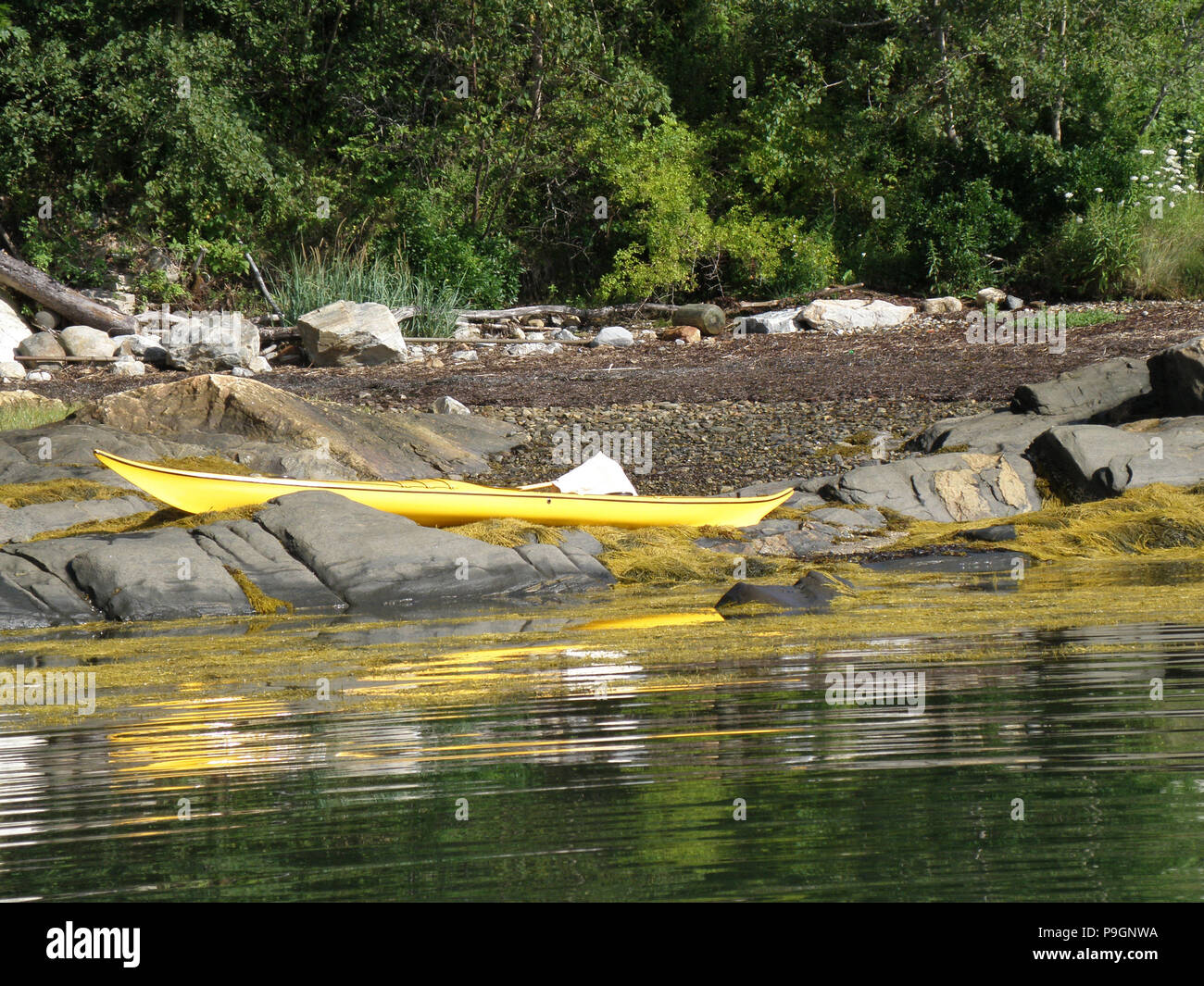 Yellow kayak beached on the rocks of an island in Maine Stock Photo - Alamy