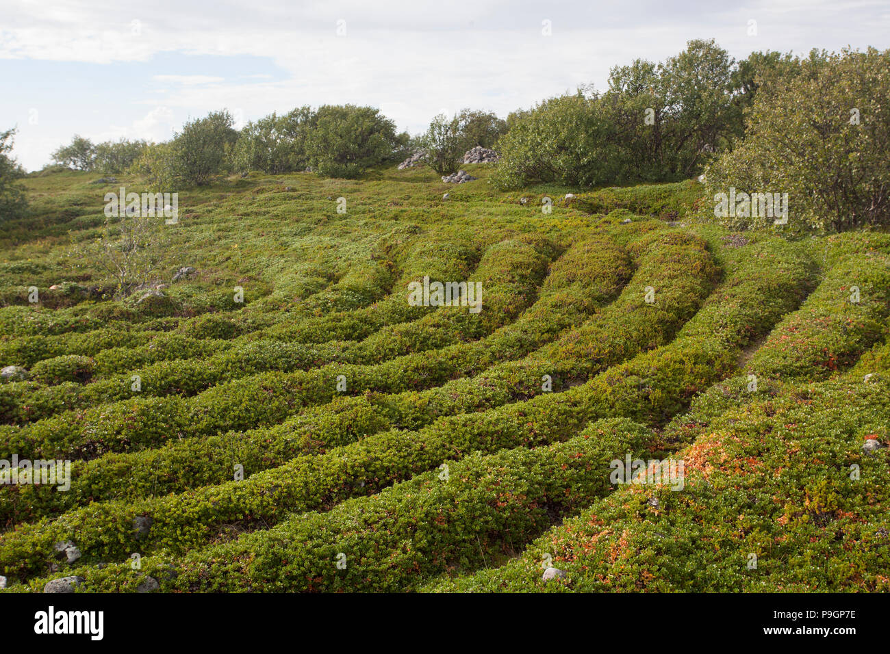 Neolithic stone labyrinth hi-res stock photography and images - Alamy