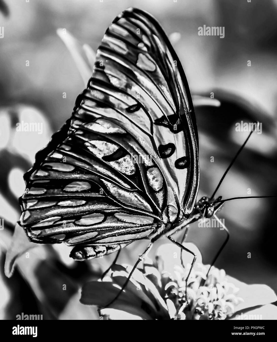 beautiful landscapes and city scapes Stock Photo - Alamy