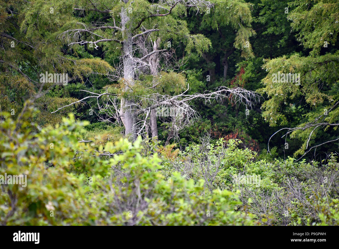 beautiful landscapes and city scapes Stock Photo - Alamy