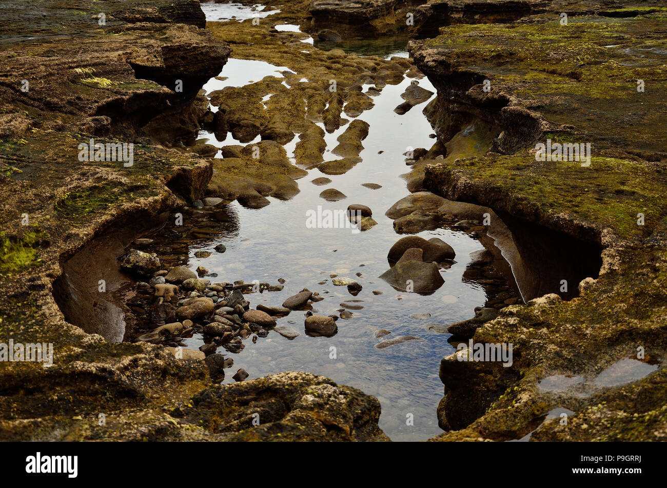 Reef eroded by the action of seawater, The confital, coast of Gran ...