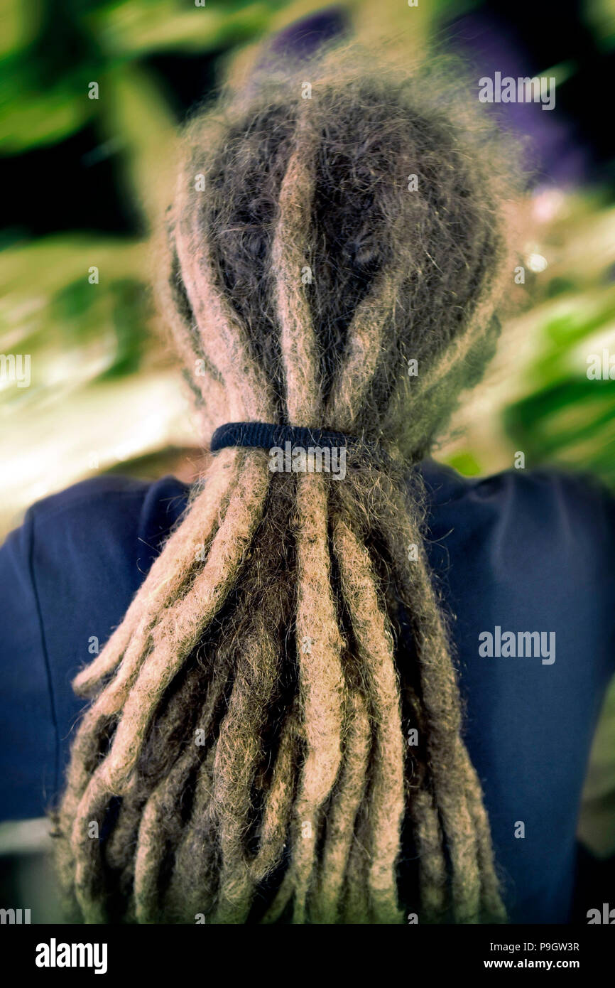 Rasta boy hi-res stock photography and images - Alamy