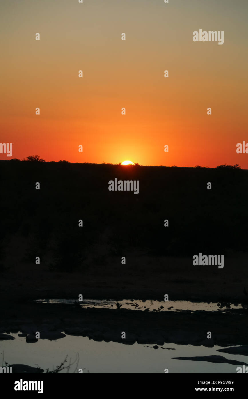 Intense sunset sky colors of red and gold over African silhouette ...