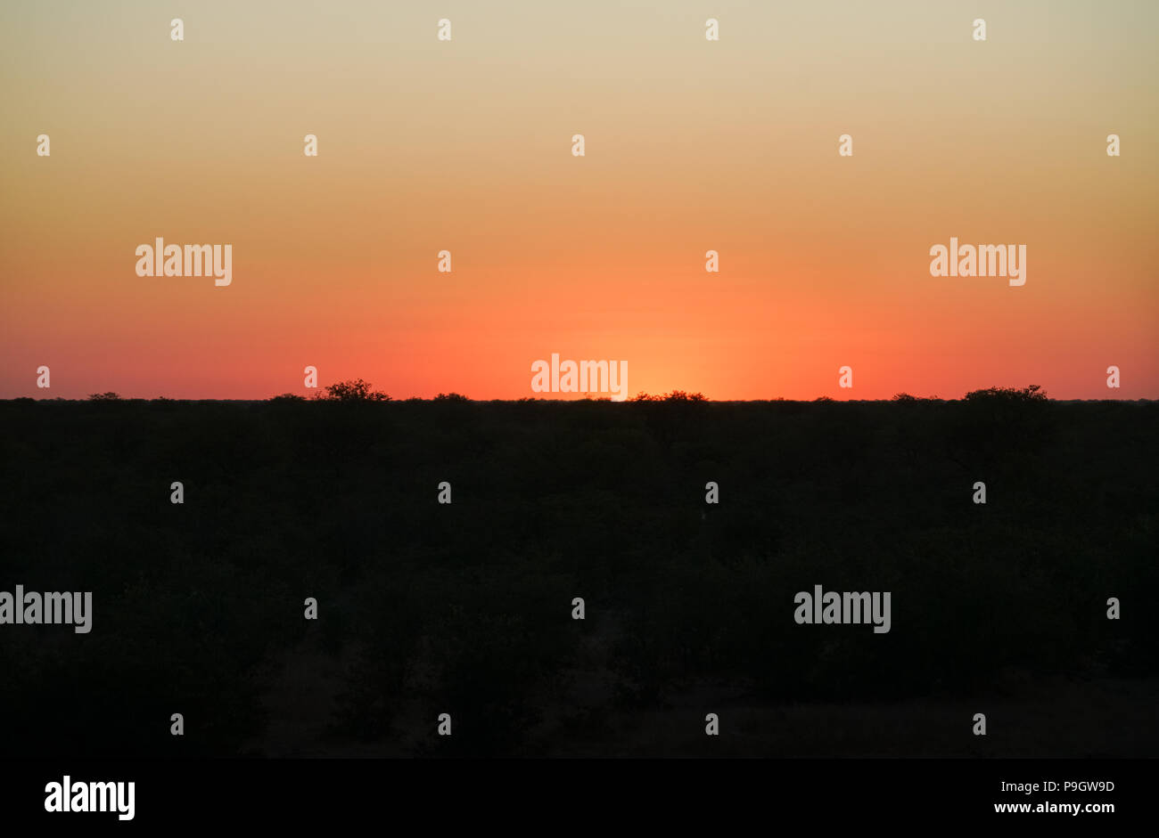 Intense sunset sky colors of red and gold over African silhouette ...