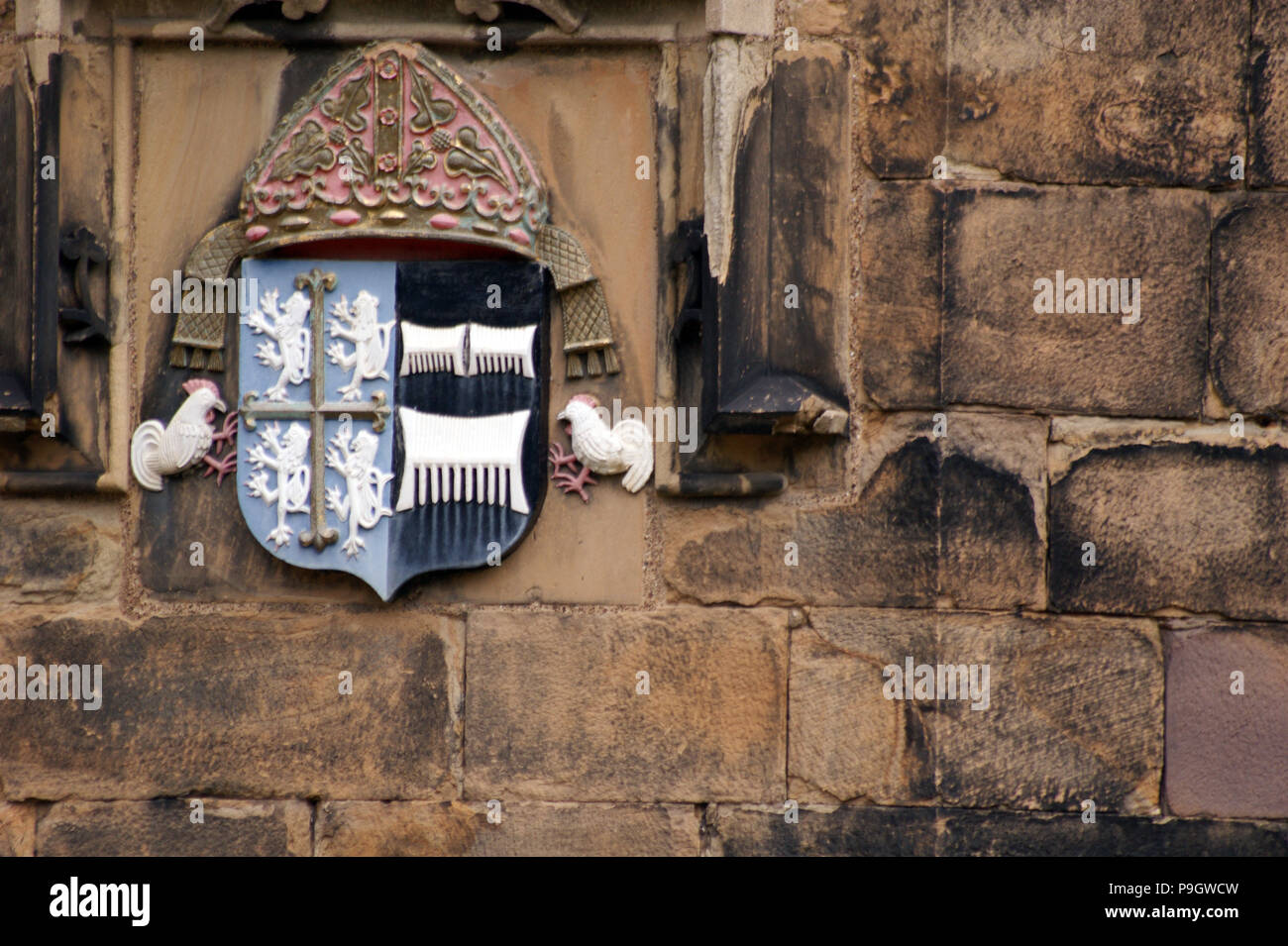 Durham Lions High Resolution Stock Photography and Images - Alamy