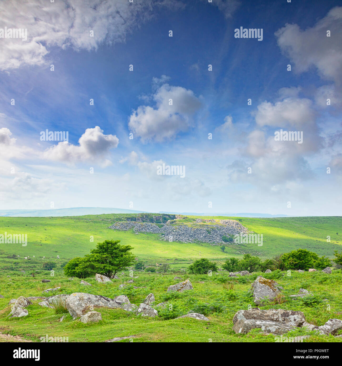 Bodmin Moor, Cornwall, on a bright summer day. The moor was a filming ...