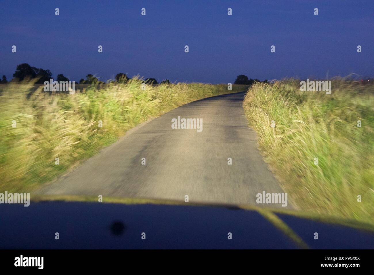 The road ahead: a driver's view of a rural road illuminated by head ...