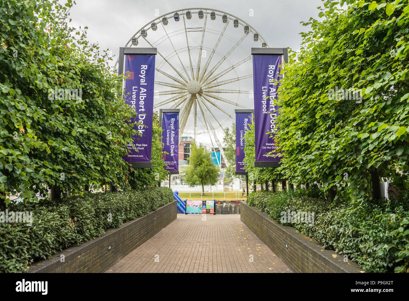 Liverpool Eye / Wheel of Liverpool with trees and path Stock Photo - Alamy