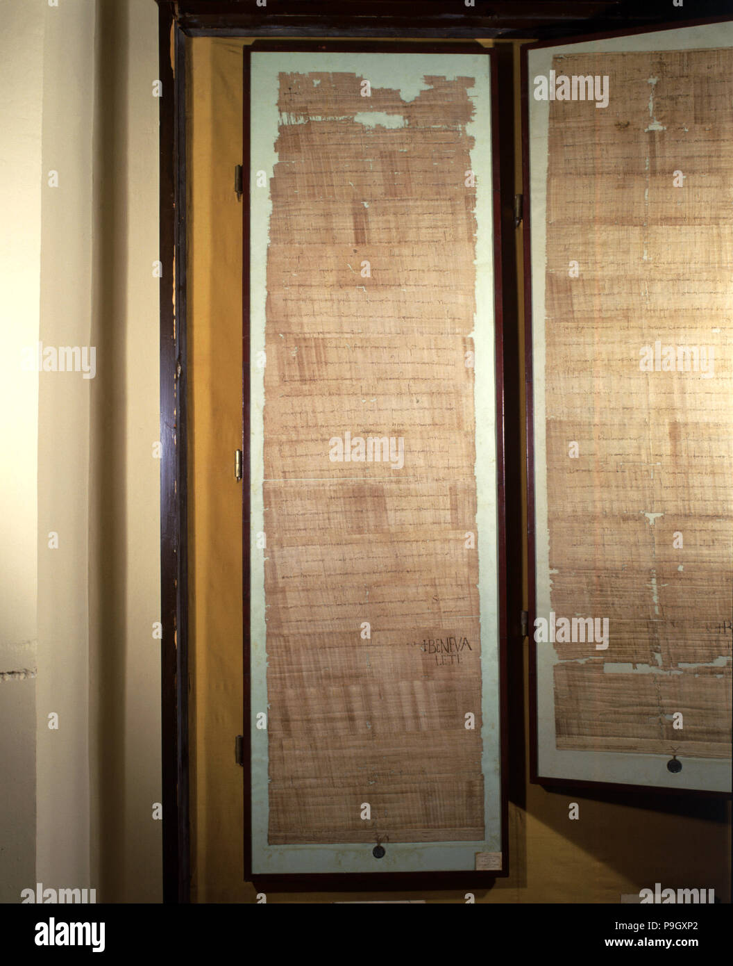 Ovium hi-res stock photography and images - Alamy
