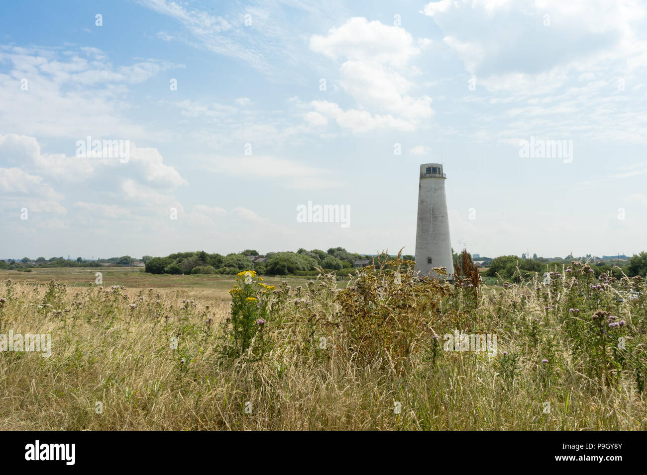 Leasowe lighthouse, Wirral UK, landscape with long grass and blue sky ...