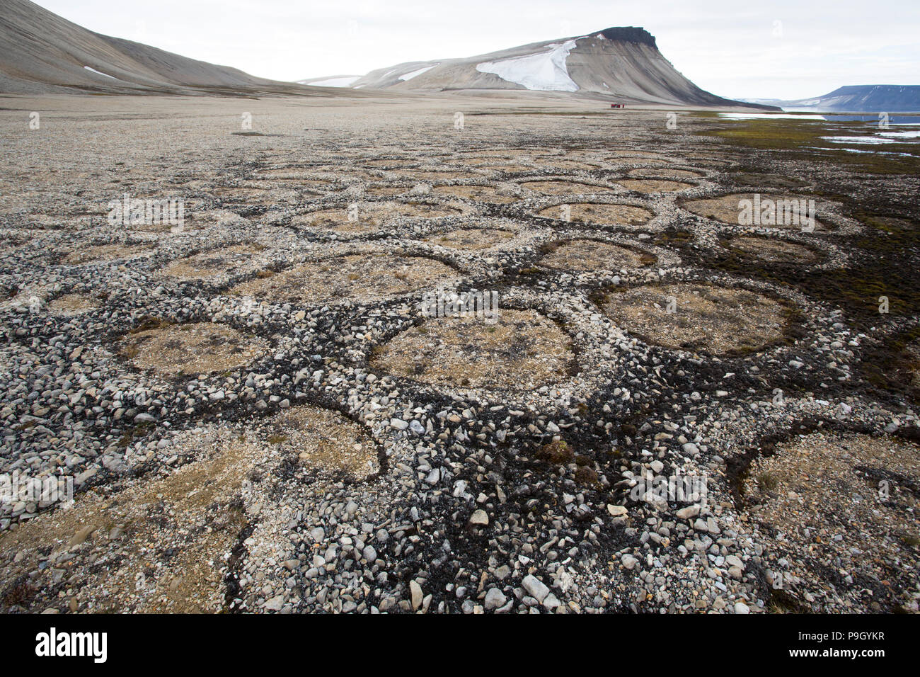 Natural Stone Circles Caused By Cryoturbation in a Polar Desert. Zeipelodden, Svalbard Stock ...