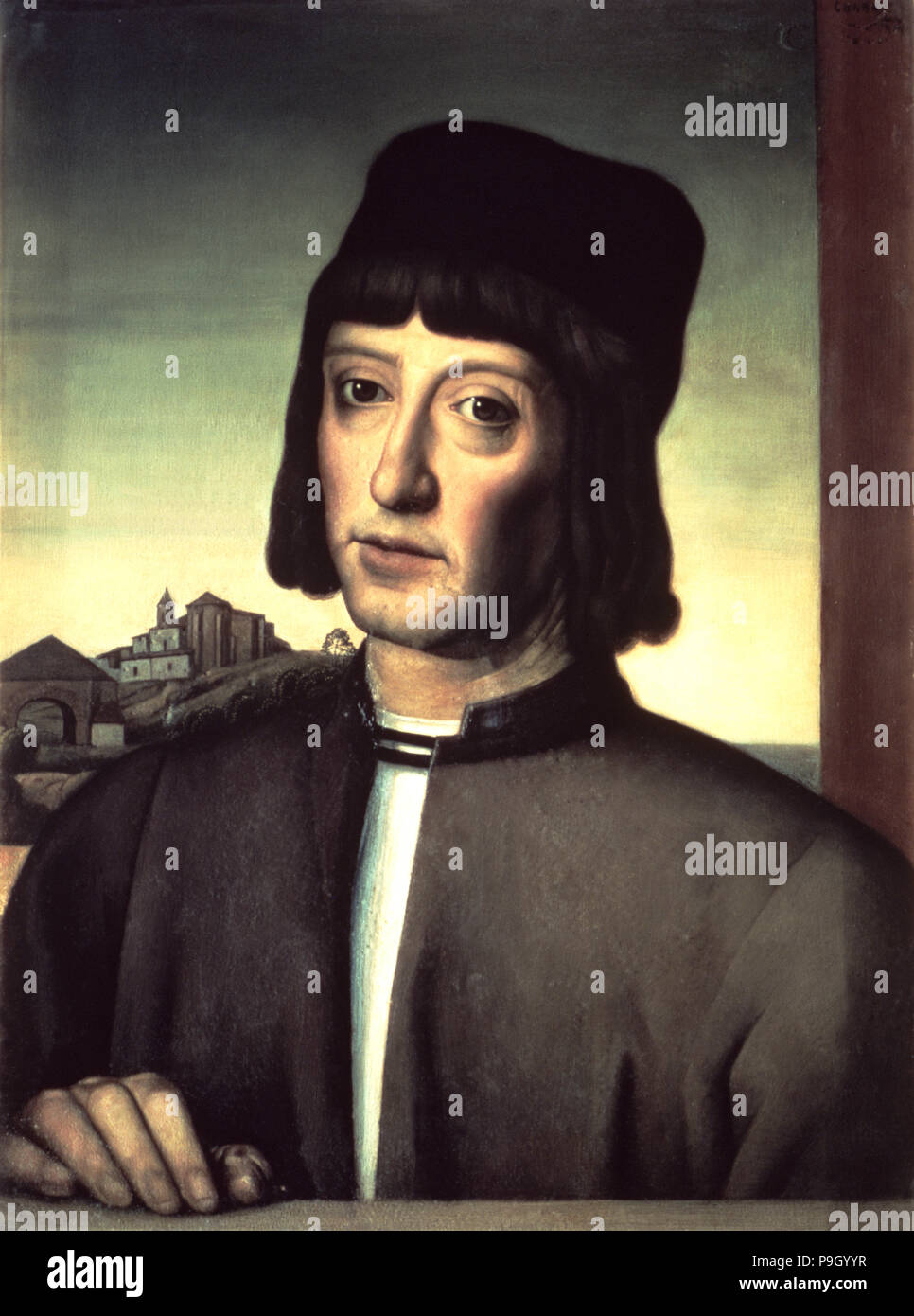 De pinzón hi-res stock photography and images - Alamy