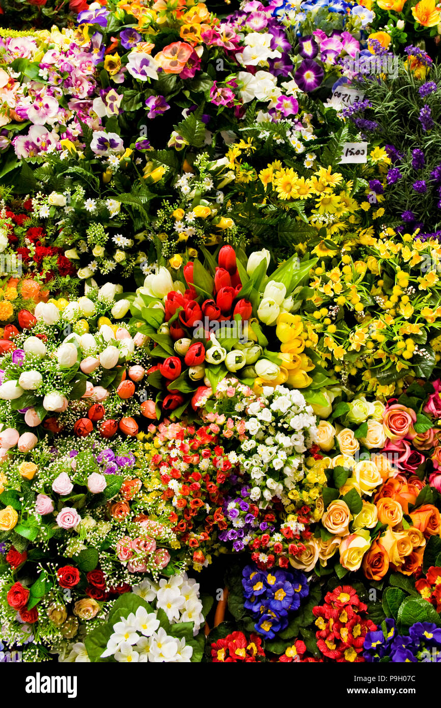 Liguria blooms hi-res stock photography and images - Alamy