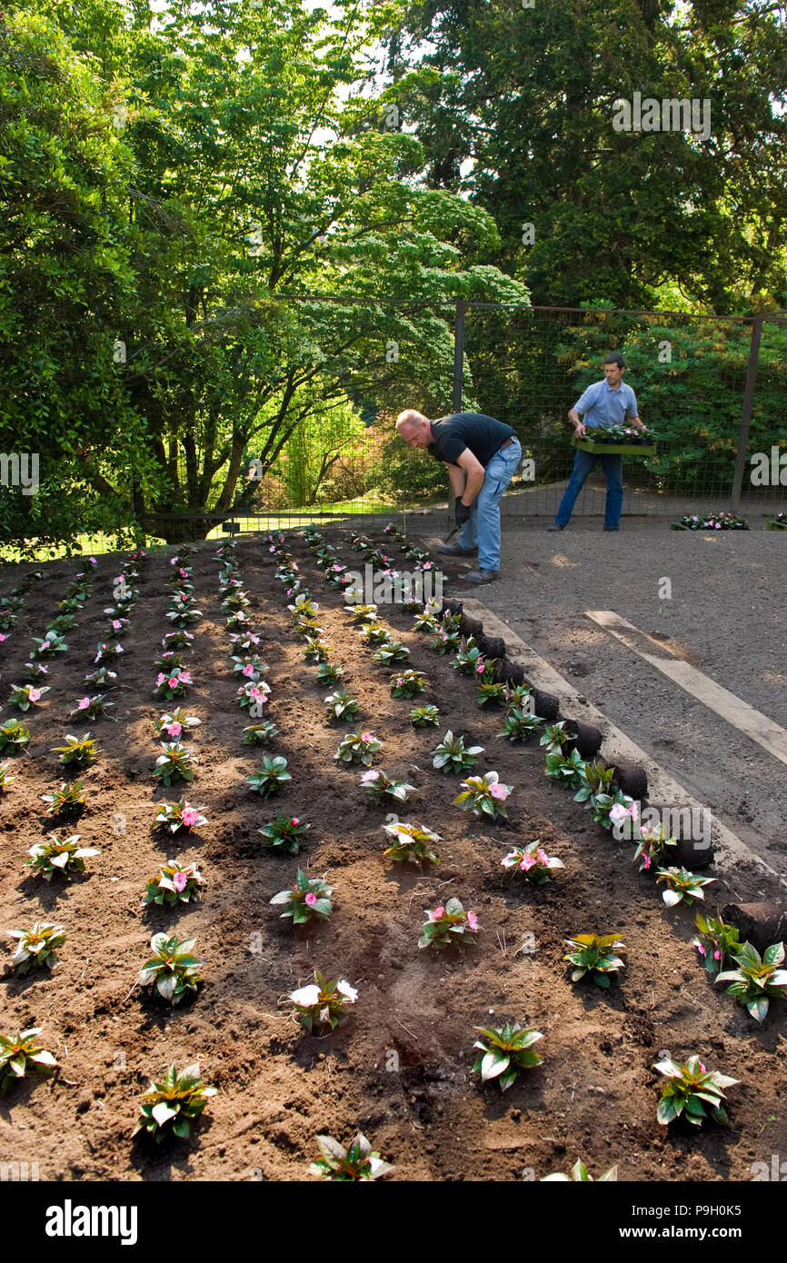 Gardeners blooms hi-res stock photography and images - Alamy