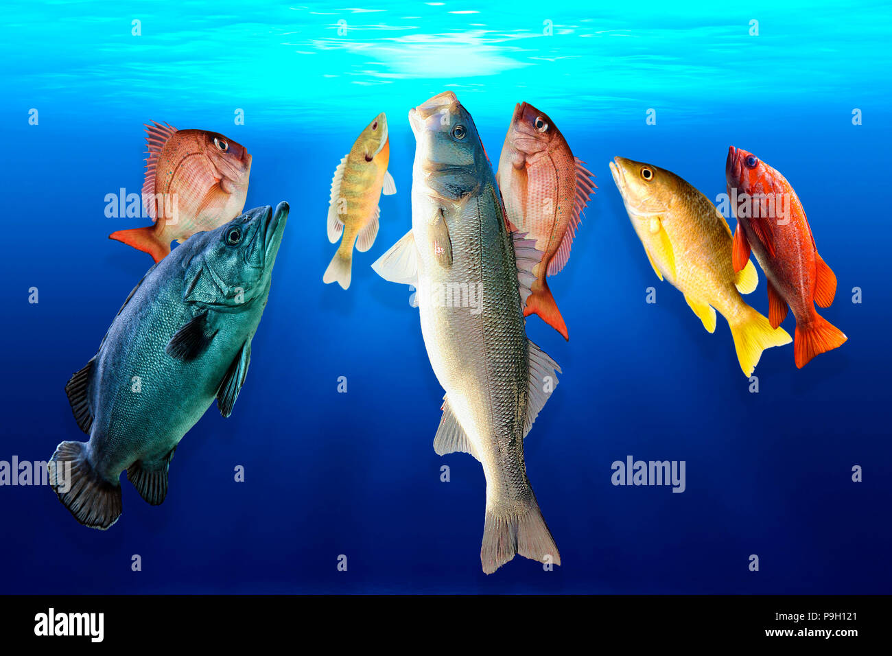 Climate manipulation hi-res stock photography and images - Alamy