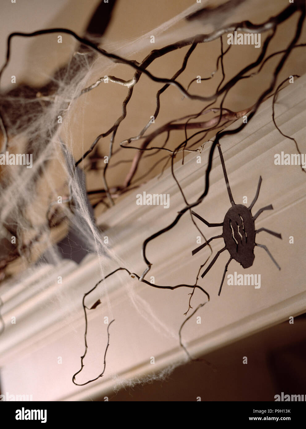 Creeping spider hi-res stock photography and images - Alamy