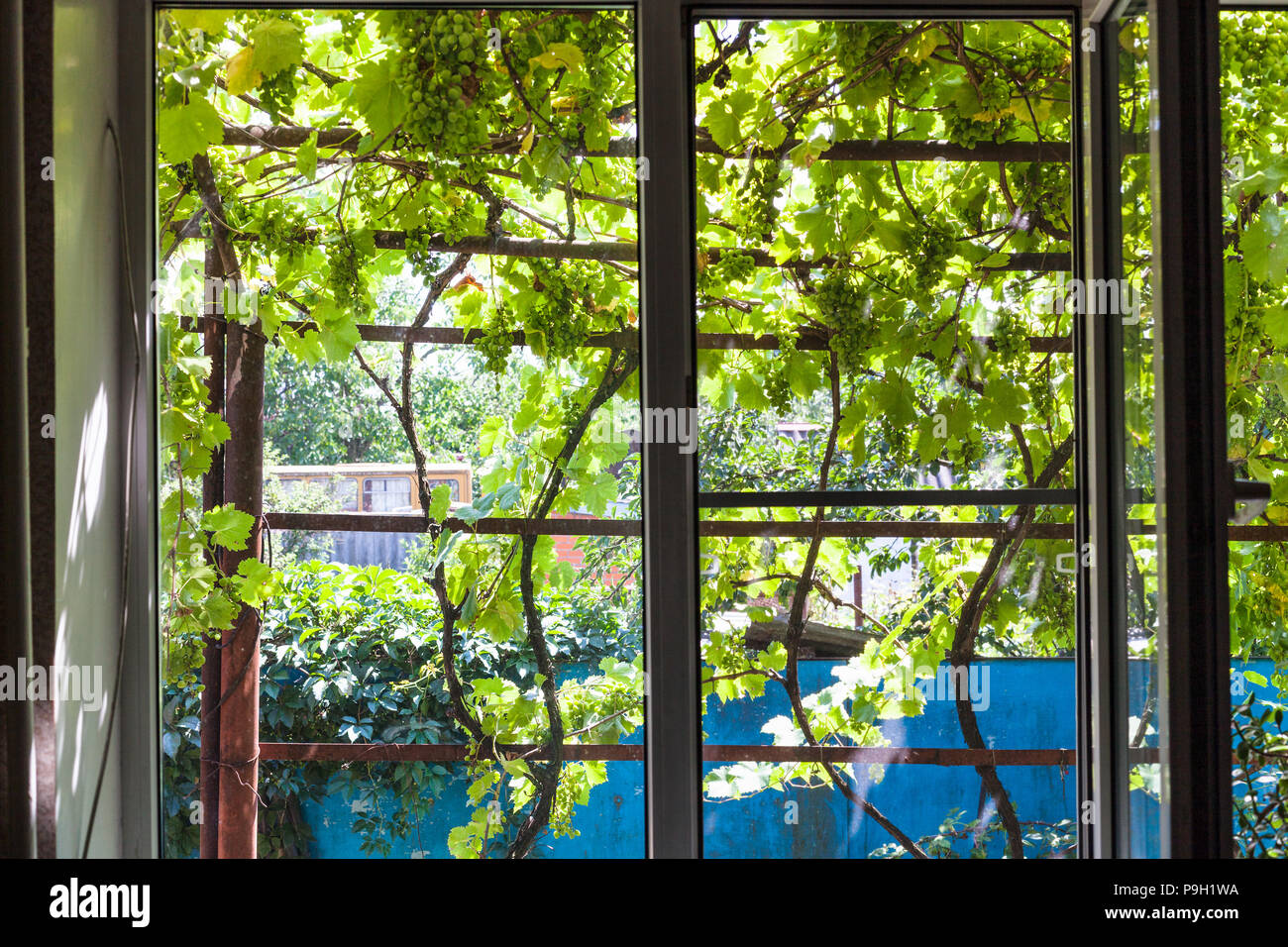Garden view through window hi-res stock photography and images - Alamy