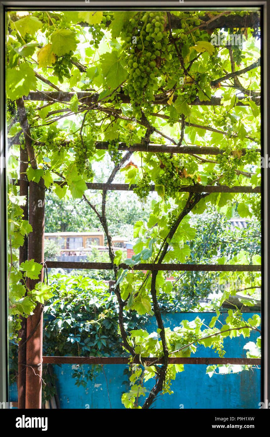 Cottage window view through hi-res stock photography and images - Alamy