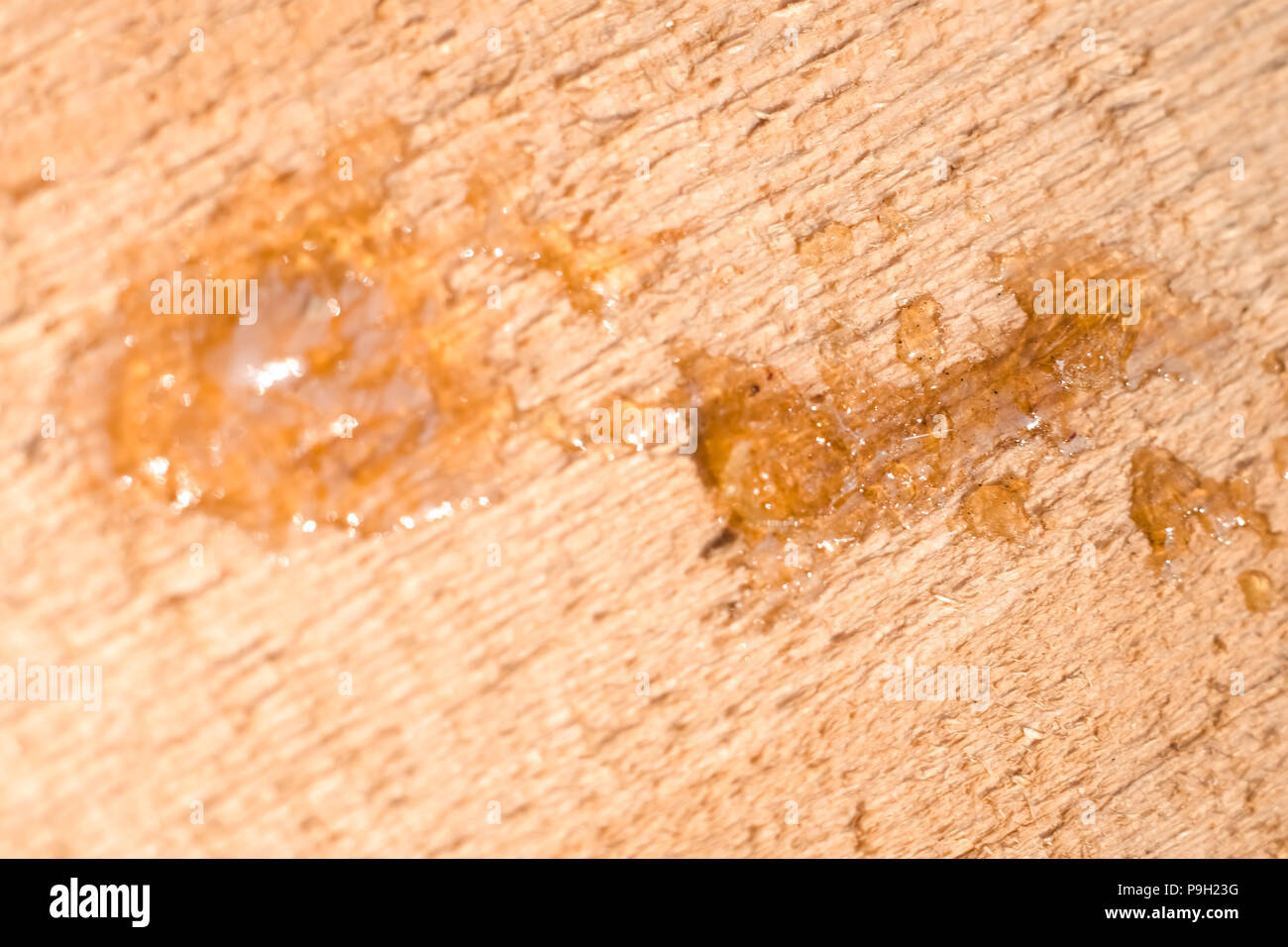 Wood texture, tree rings with tar, logs, sawed wood view from above ...