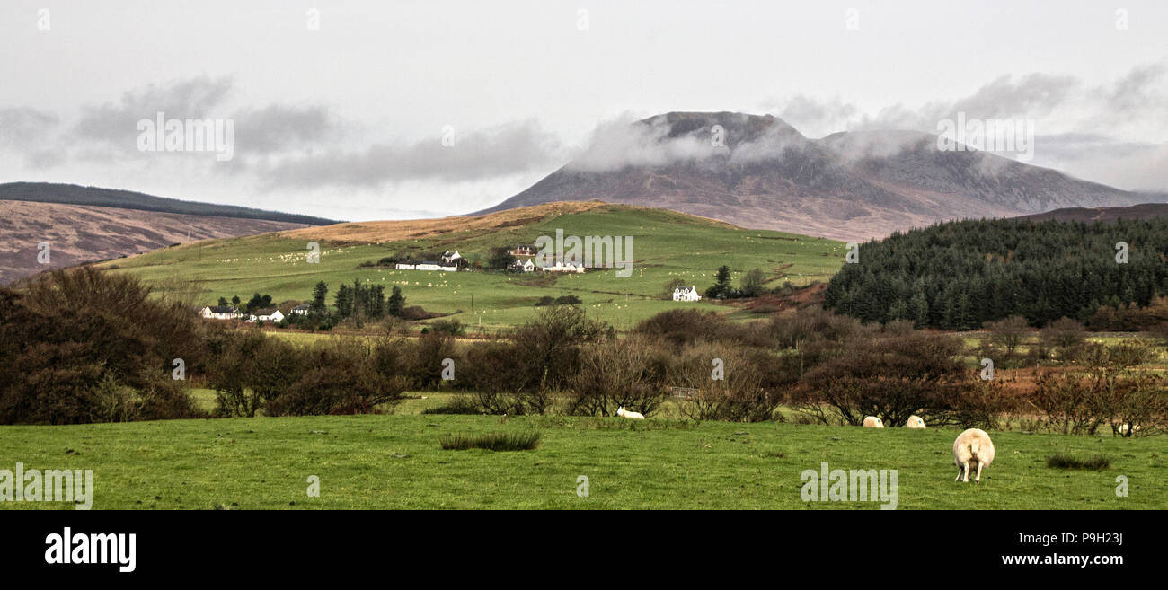 Sheep farming landscape on Machrie Moor on the Isle of Arran, Scotland ...