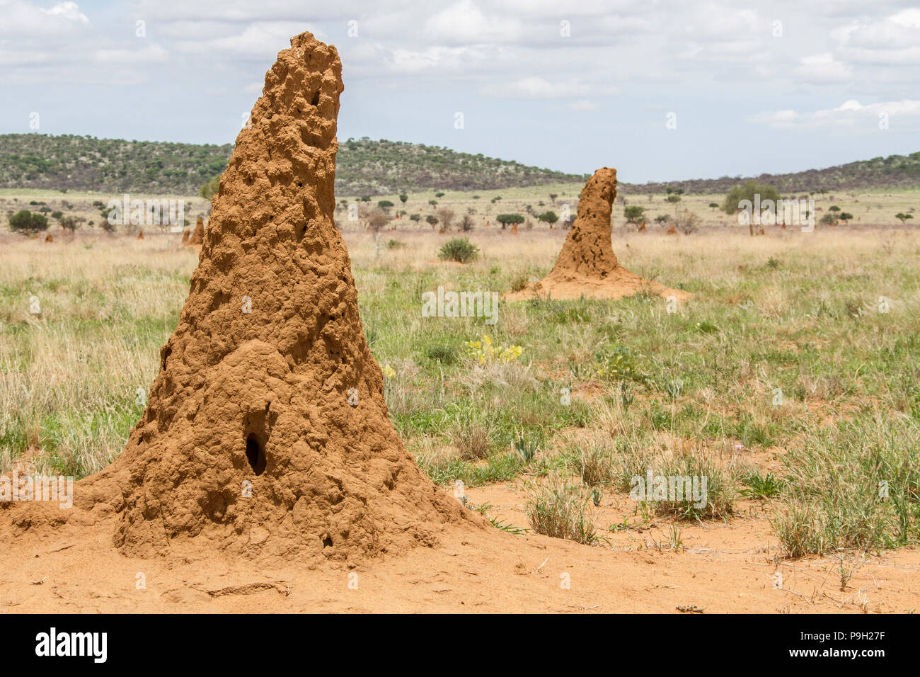 African termite mounds hi-res stock photography and images - Alamy