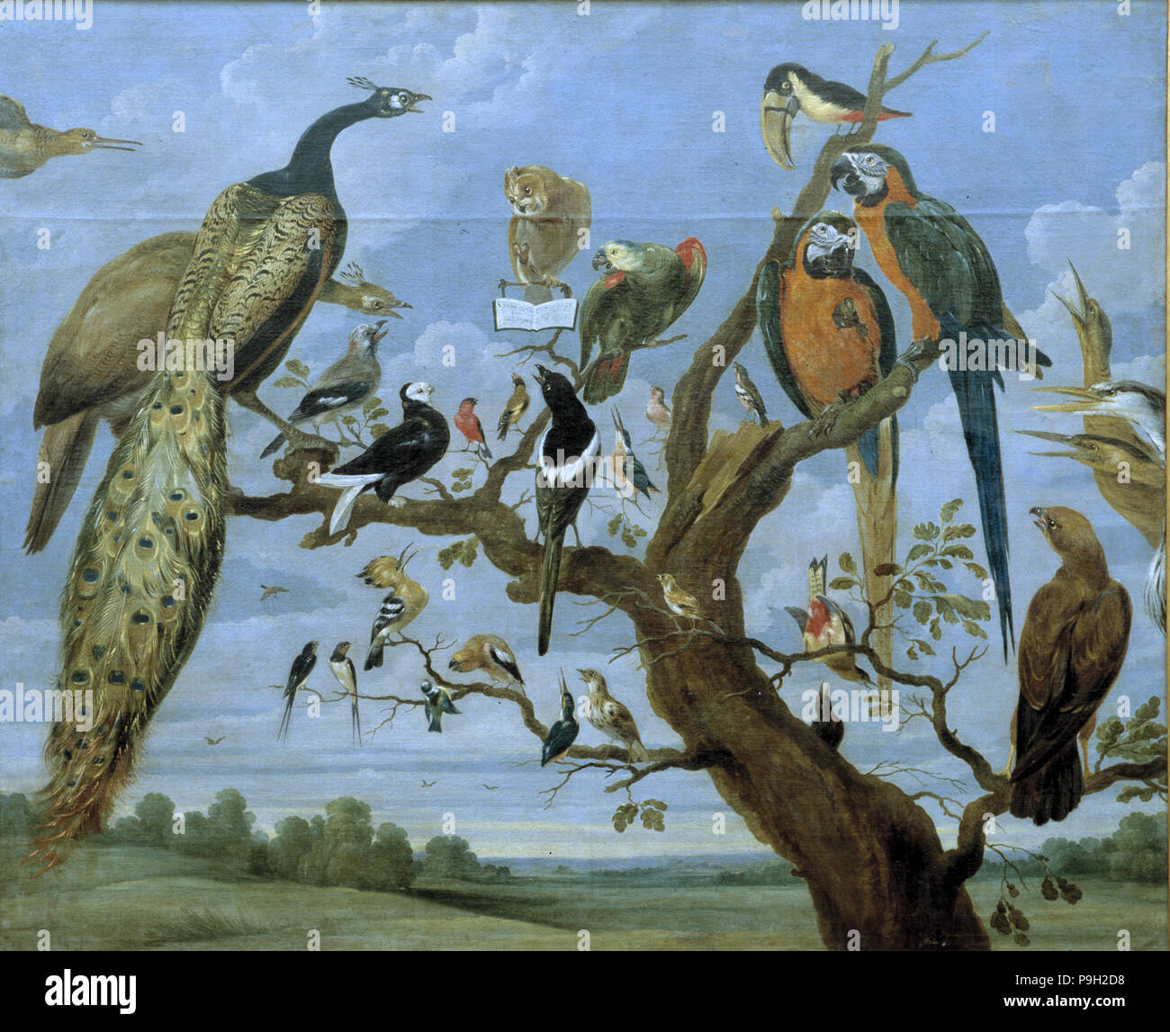 Famous Oil Paintings Of Birds