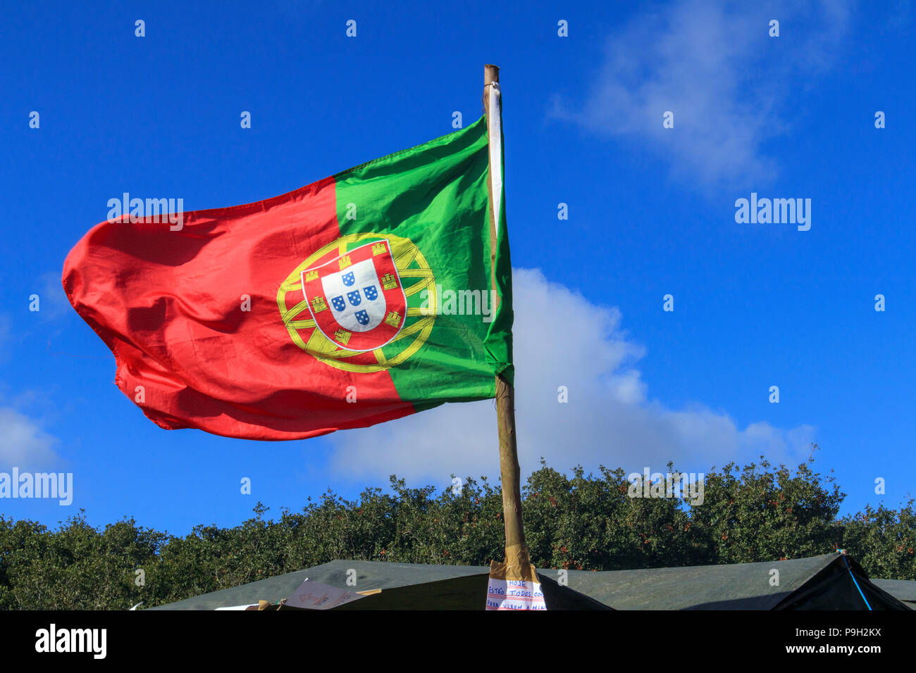 Portuguese national flag flying in the breeze against a bright blue sky ...