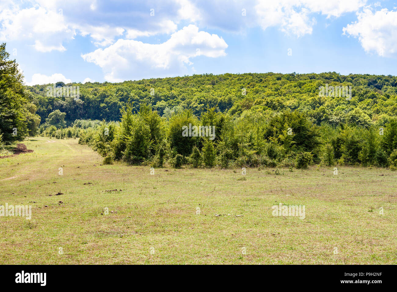 tour to Shapsugskaya anomalous zone - Daisy Meadow in Abinsk Foothills ...