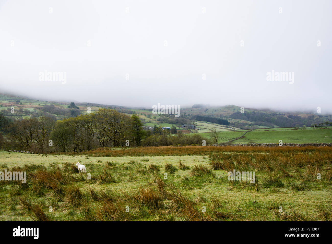 Misty welsh landscape hi-res stock photography and images - Alamy