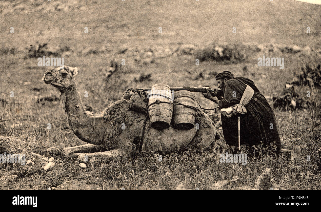 War camel hi-res stock photography and images - Alamy