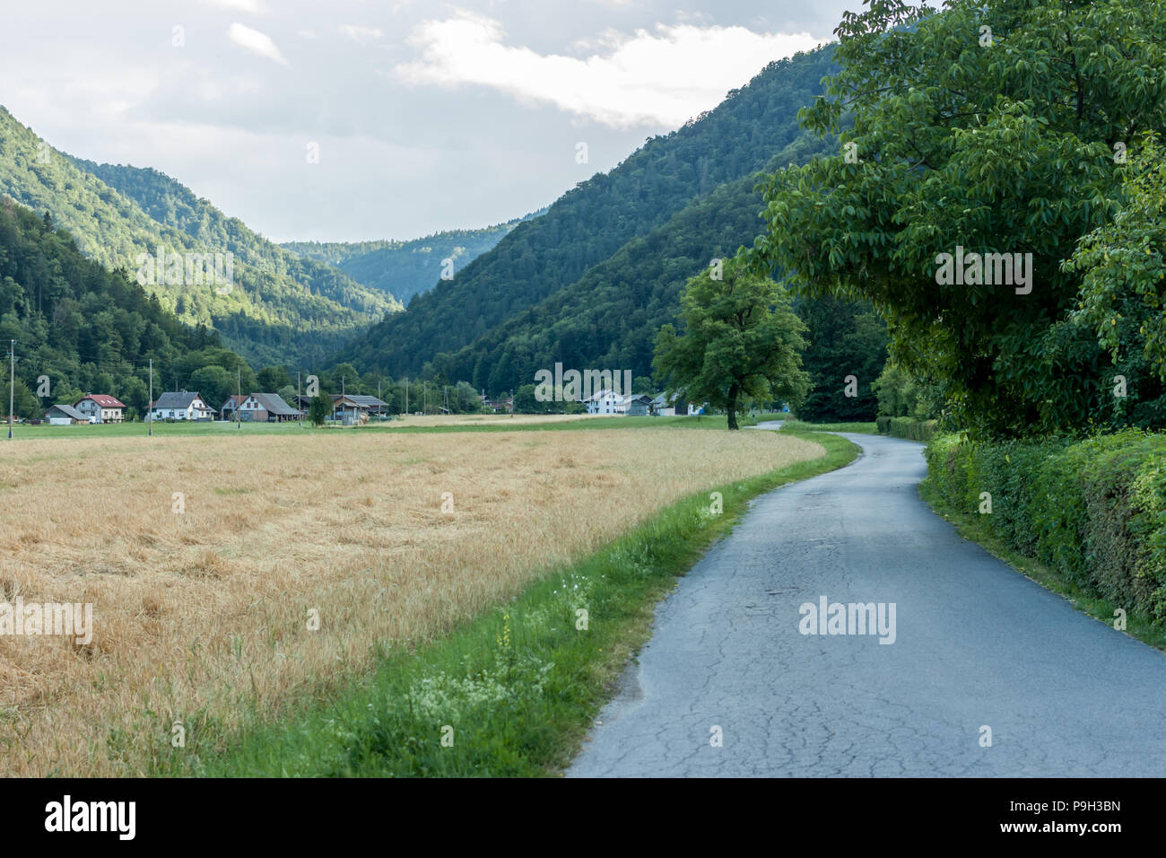 local road to village Stock Photo - Alamy