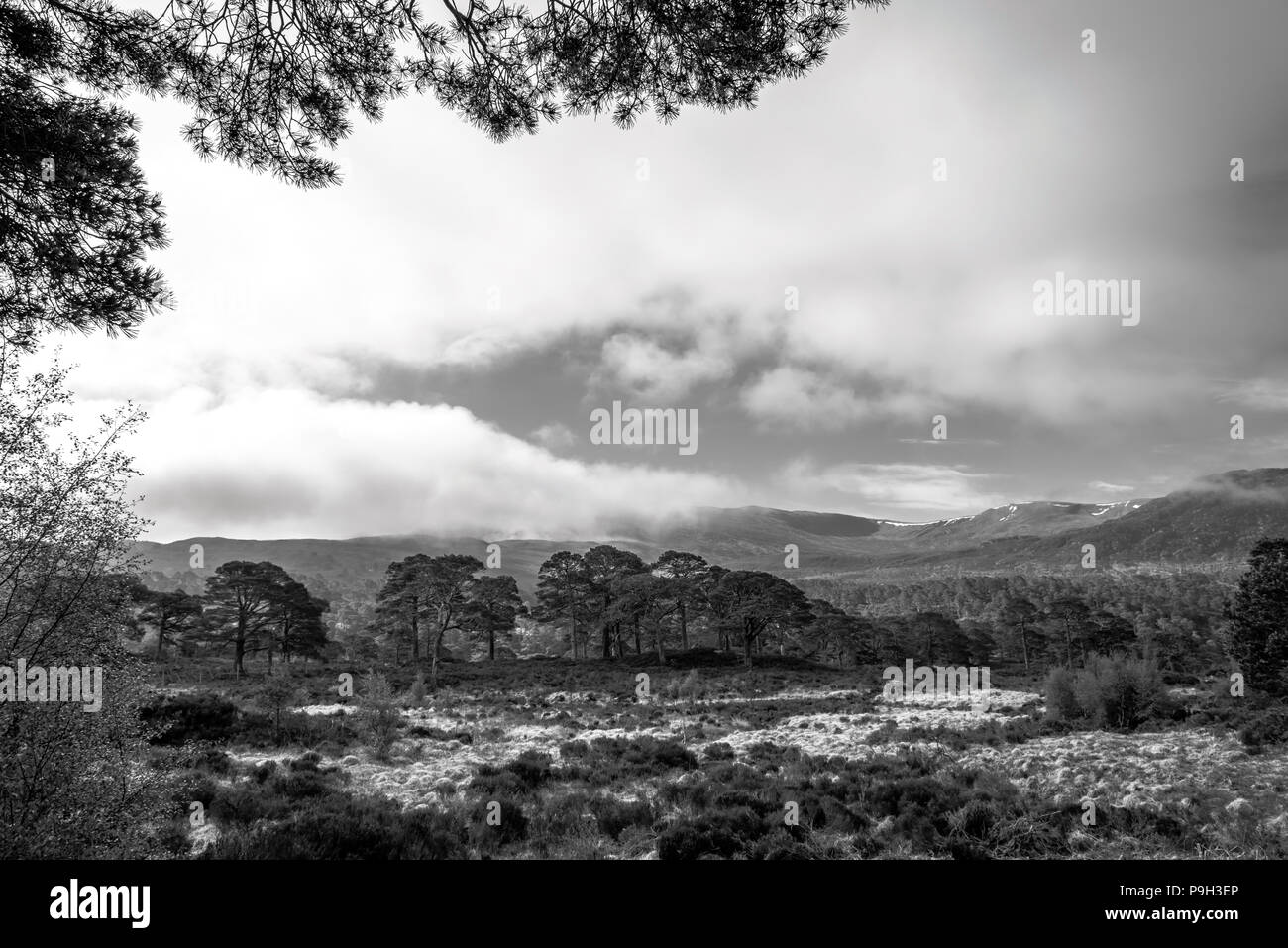Scottish landscape. mountains and beautiful sky above Scotland Stock ...