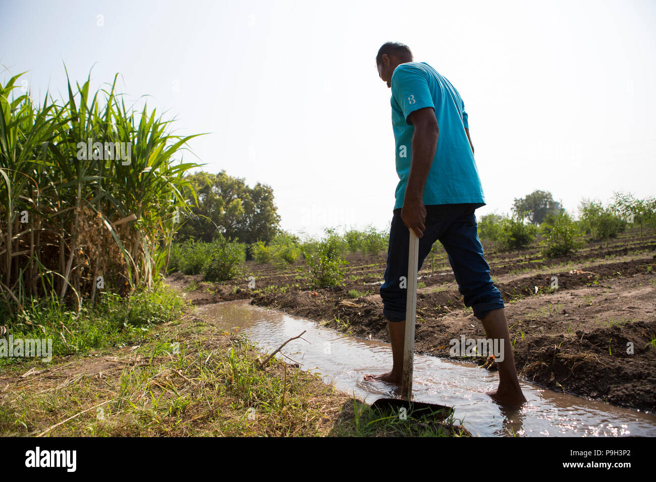 Irrigation technology hi-res stock photography and images - Alamy