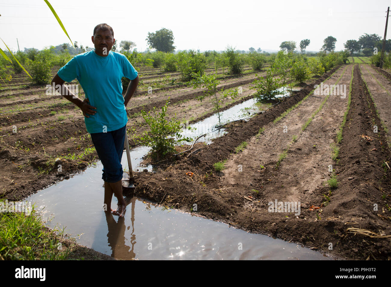 India irrigation hi-res stock photography and images - Alamy