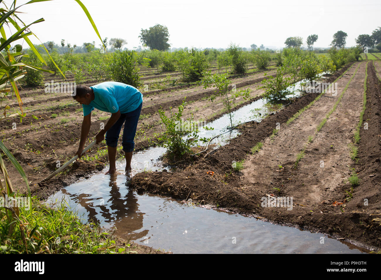 Micro trench hi-res stock photography and images - Alamy